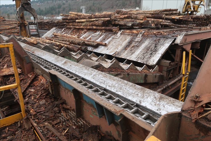 NICHOLSON A7 | SDS PLYWOOD MILL - ONLINE AUCTION | James G. Murphy Co.