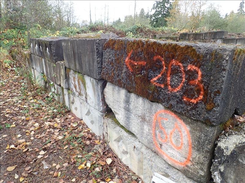 LOT, APPROX (50) ECOLOGY BLOCKS IN THIS SECTION (CUSTOMER RESPONSIBLE ...